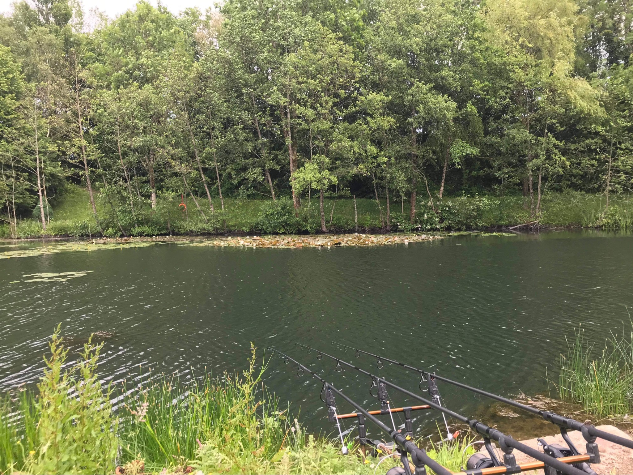 The Half Round Ponds - Brynmill & District Angling Club